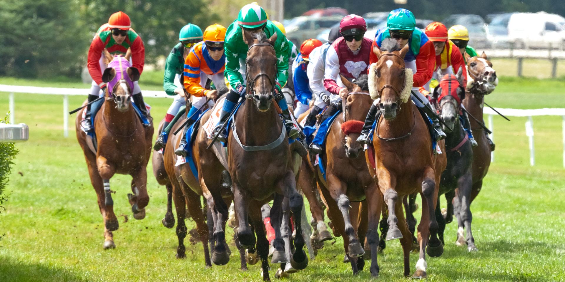 A day at the racecourse | Destination Vittel