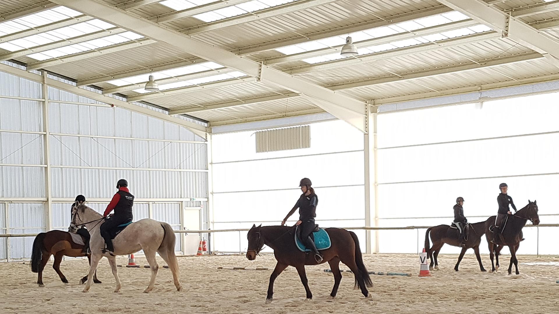 Try out a horseback ride | Destination Vittel